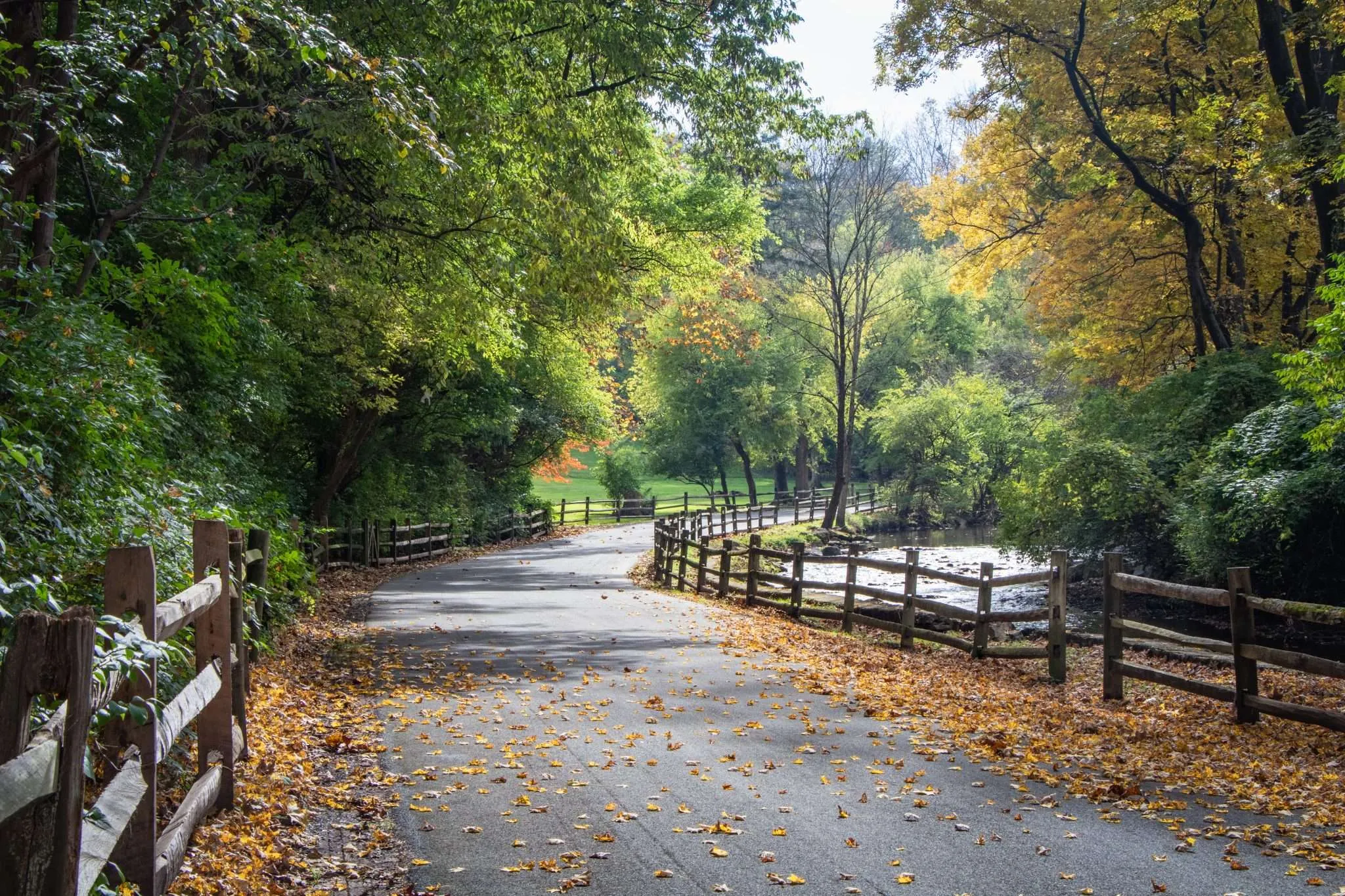 Dyscalculia Testing - Worldwide Testing for Learning Difficulties